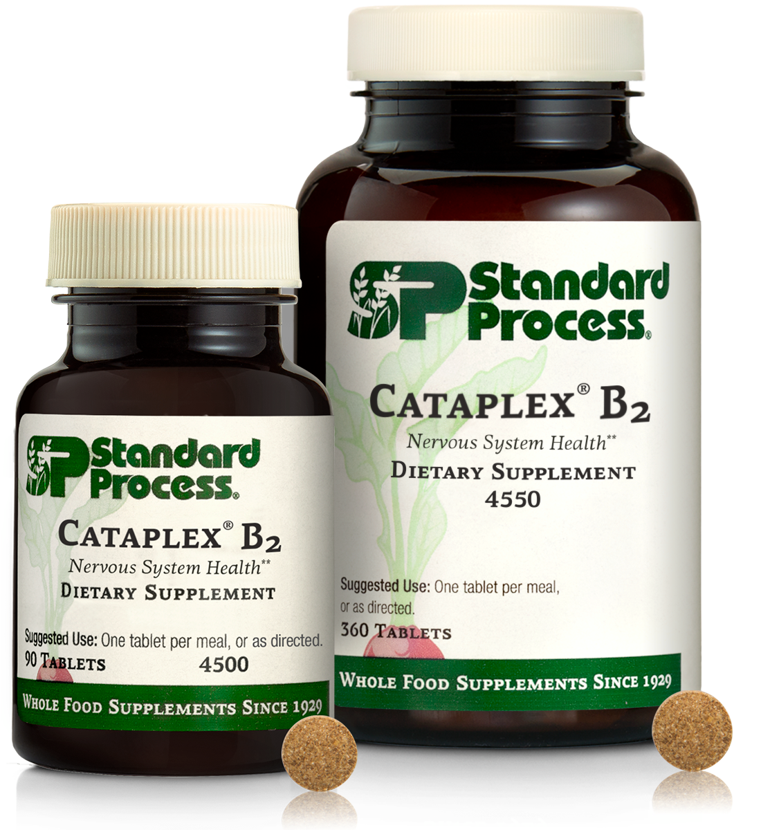 Cataplex® B2 | Standard Process Supplements | Wholefood Guru